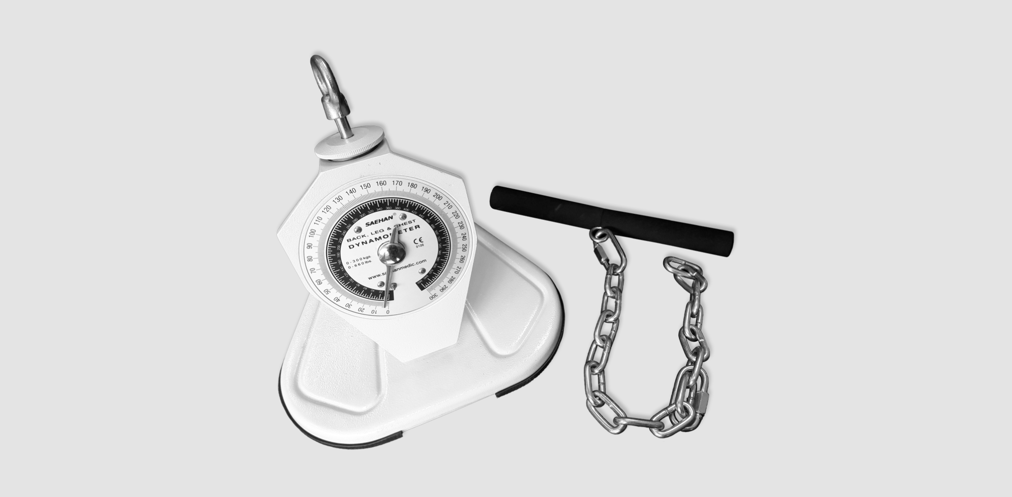 Saehan | Back-leg-chest dynamometer - MVS In Motion